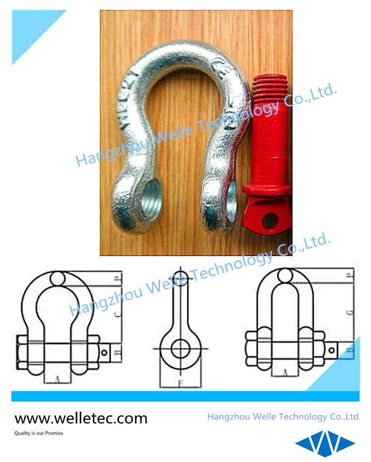 US Type Drop Forged Shackle G-2130 - WelleTechnologyCo.,Ltd.